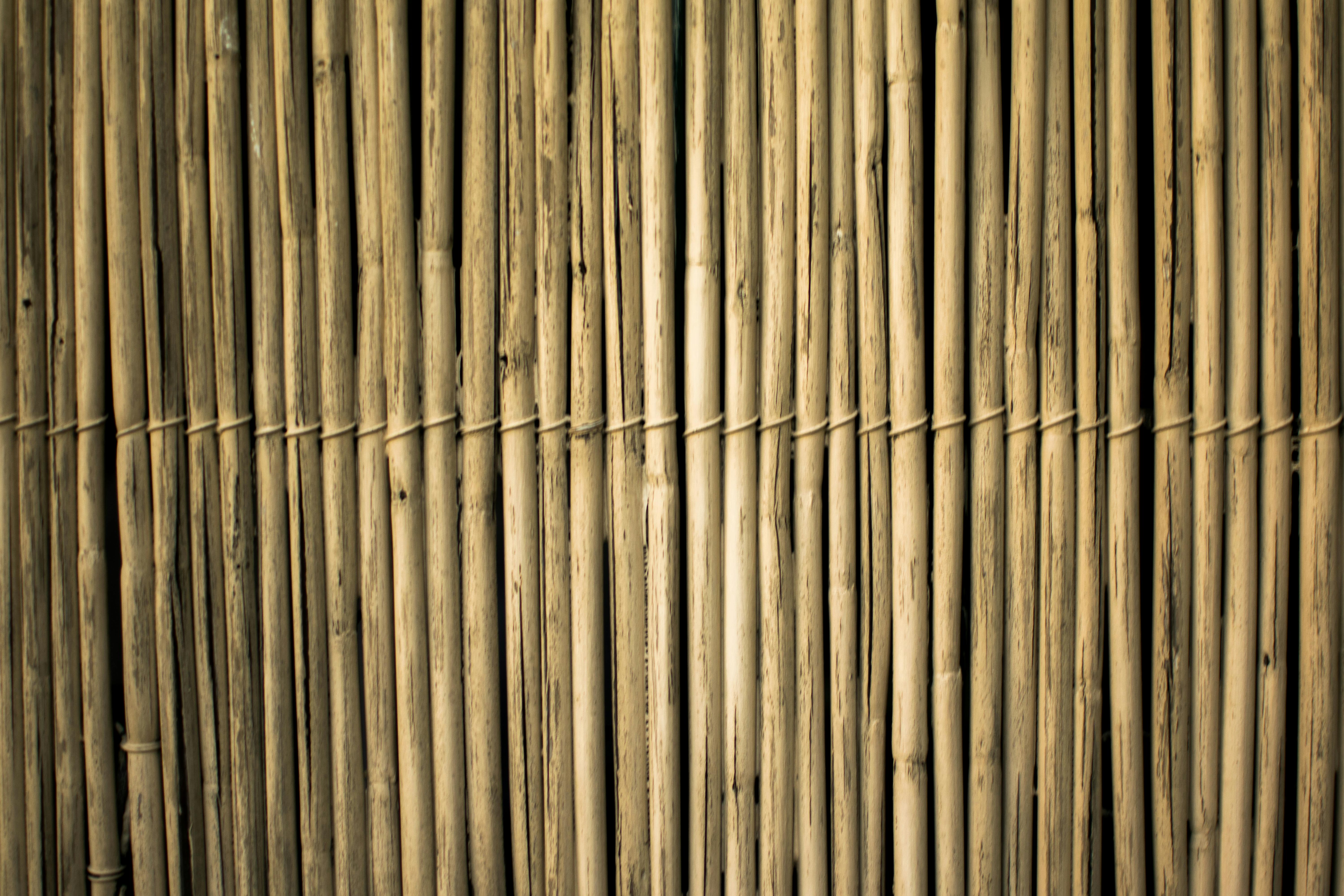 Bursting the Bamboo Bubble: Why It's NOT a Good Fabric for Kids – Treehouse