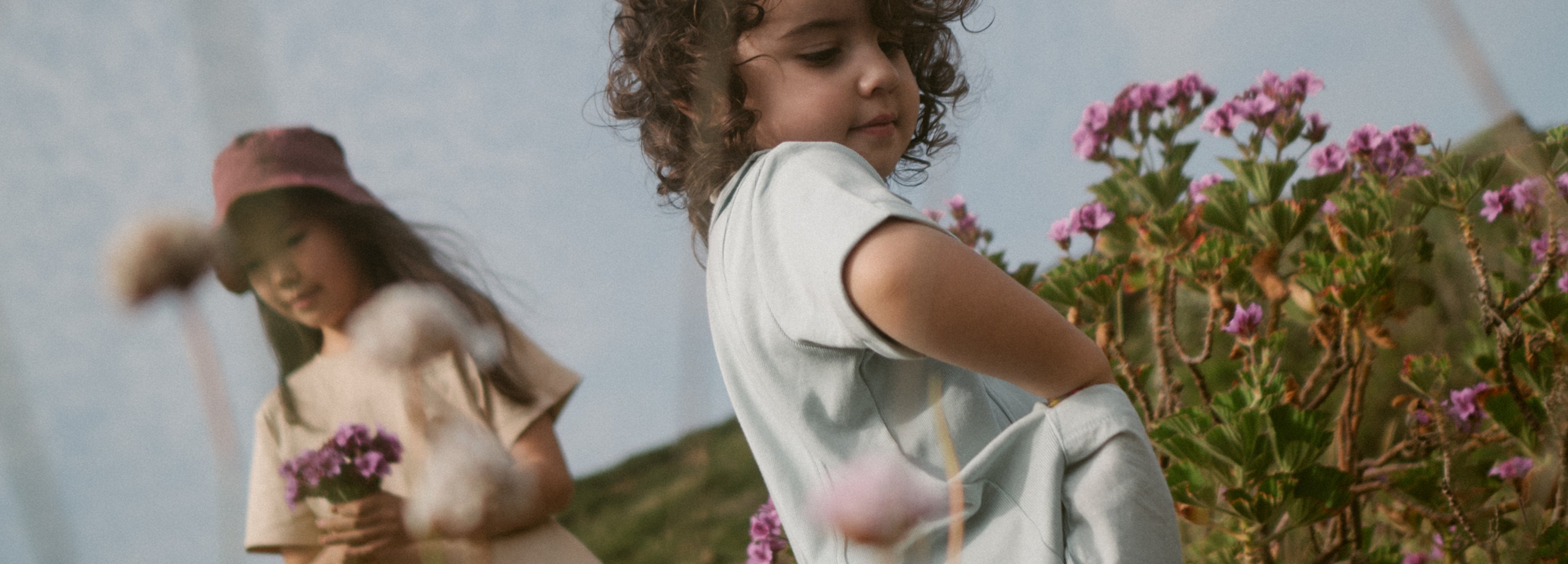 Shop all – Treehouse